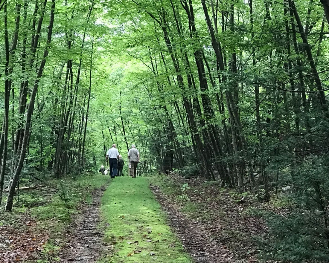 Spring Hike – Blue Mountain Lakes Loop Trail – Walpack Historical ...